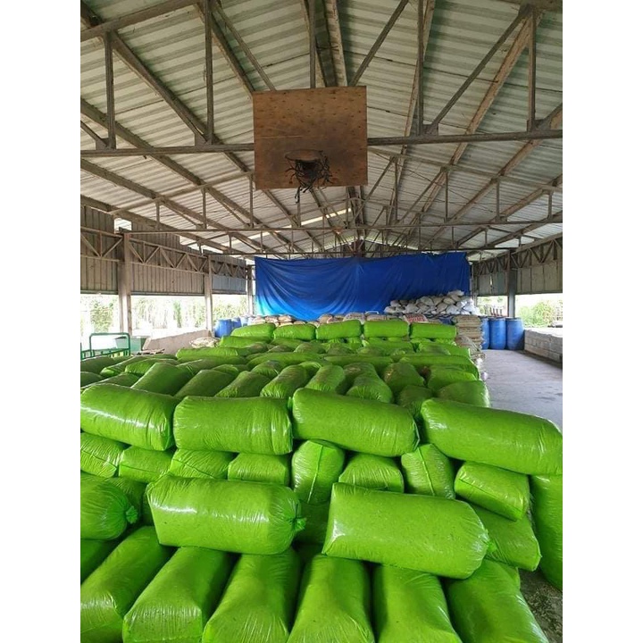 Plastik Silaj Napier/ Bag Silaj Napier 1KG (7～8pcs) | Shopee Malaysia