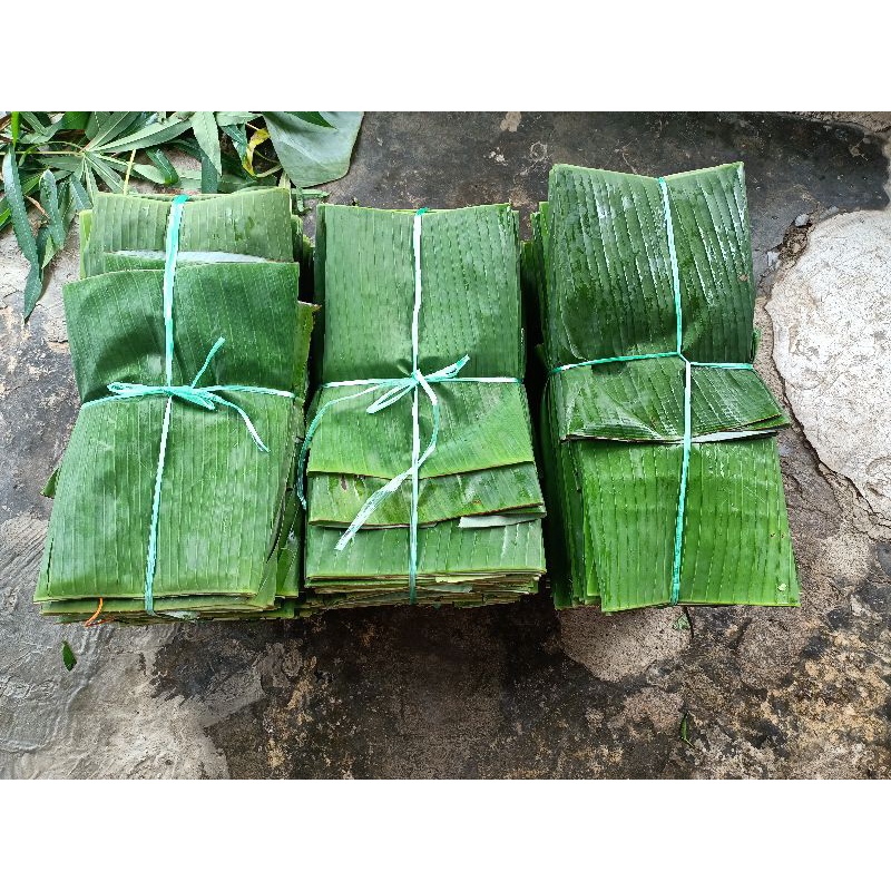 Daun pisang hutan segar 1 ikat | Shopee Malaysia