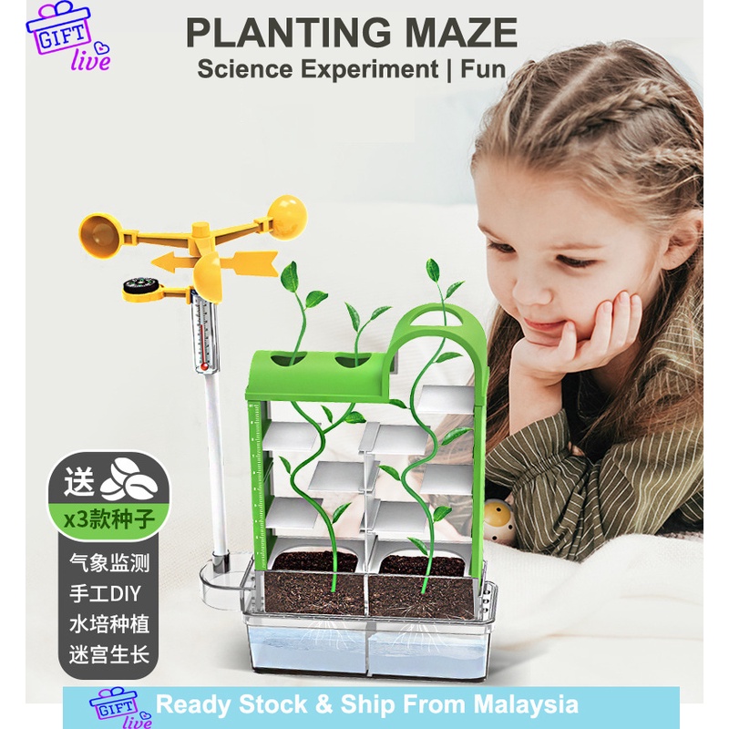 DIY Science Kit Planting Plant Maze Biology Experiment STEM STEAM ...