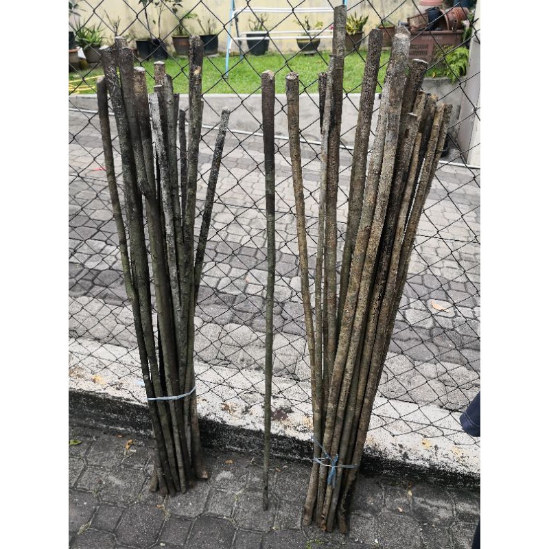 Kayu Tas Sarawak (kayu hujan panas) | Shopee Malaysia