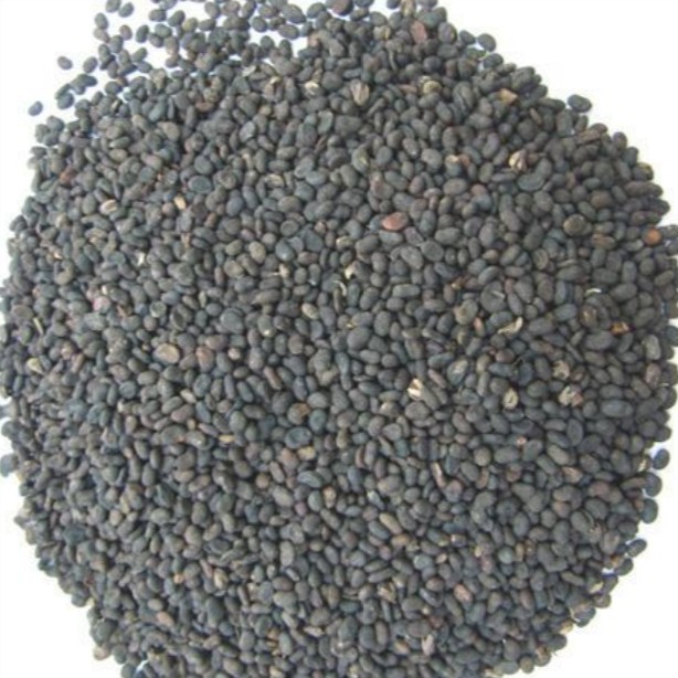 KARBOGA ARISI / BABCHI SEEDS 500g | Shopee Malaysia