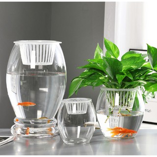 Pasu Kaca bulat Glass Vase Goose egg shape hydroponic vase pasu bunga ...