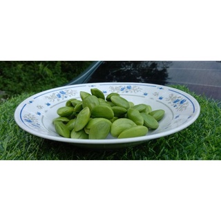 Petai padi/papan siap kupas 100 gram | Shopee Malaysia