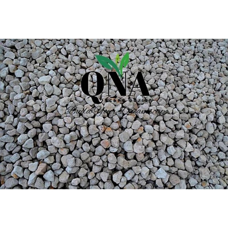 Pumice Stone Bacteria Home for Aquascaping ready to use (Washed n ...