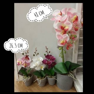 Orchid Artificial Kaison( Small) | Shopee Malaysia