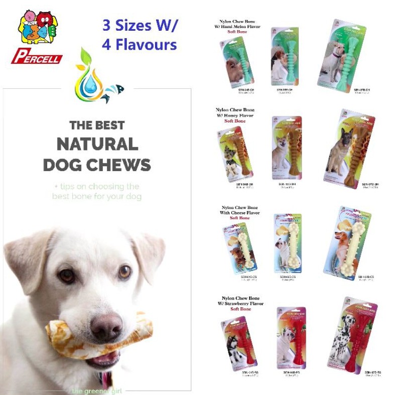 Can Dog Eat Hami Melon