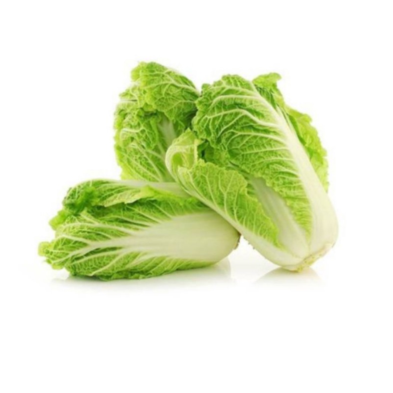 Benih Kubis cina/Chinese Cabbage | Shopee Malaysia