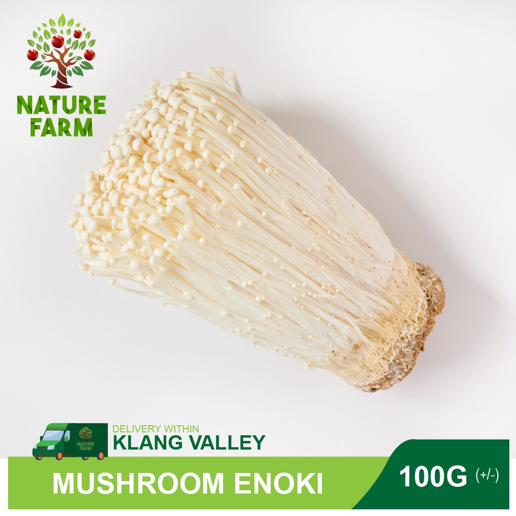 Nature Farm Mushroom Enoki (100G+-/PKT) | Shopee Malaysia