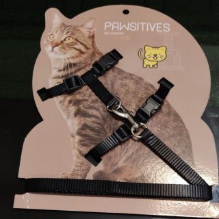 Cat Strap Harness / Tali Kucing | Shopee Malaysia