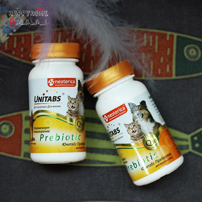 Unitabs PREBIOTIC Gastrointestinal Enzymes Support Gastrointestinal ...