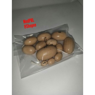 Medical Equipment: Testicle Volume Meter/ Orchidometer/ Orchiometer ...