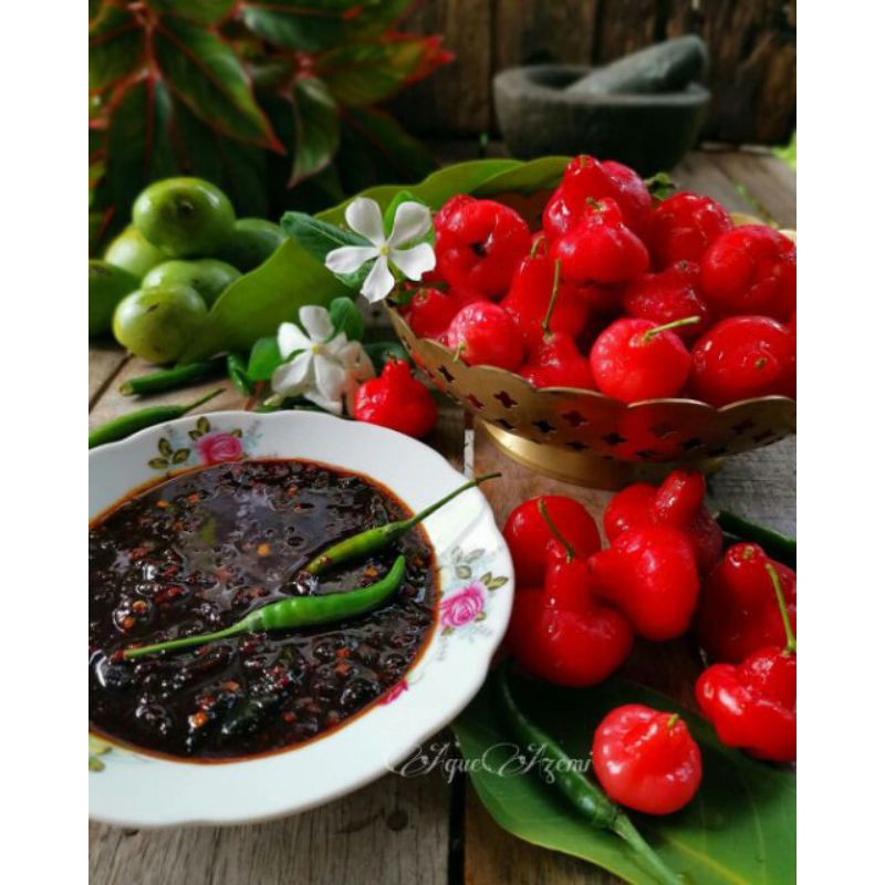 JAMBU BERTIH REAL LIVE PLANT | Shopee Malaysia