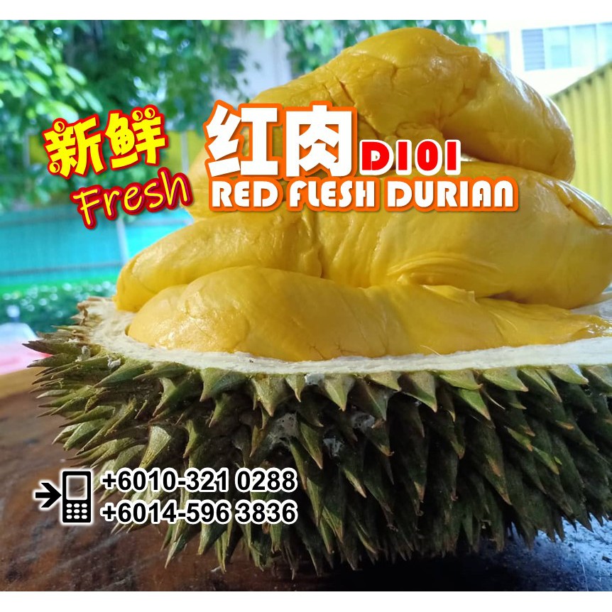 D101 Red Flesh Durian 400gram/克【 KL Selangor Only】 | Shopee Malaysia