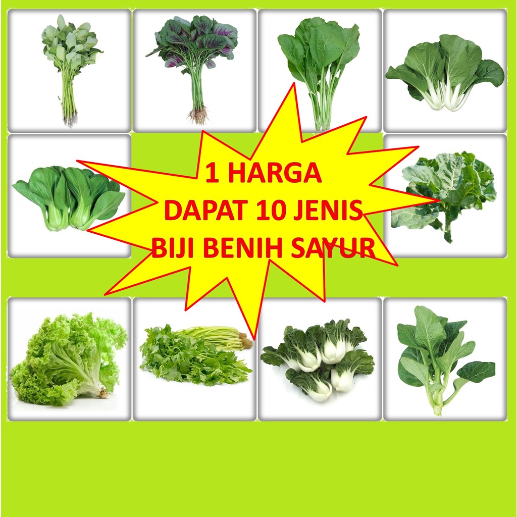 1 harga dapat 10 jenis Sayuran Biji Benih (1 set) COMBO ( Bayam / Sawi ...