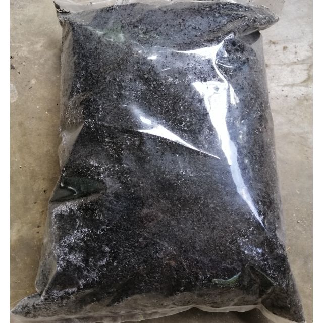 Tanah hitam sawit(2kg) | Shopee Malaysia