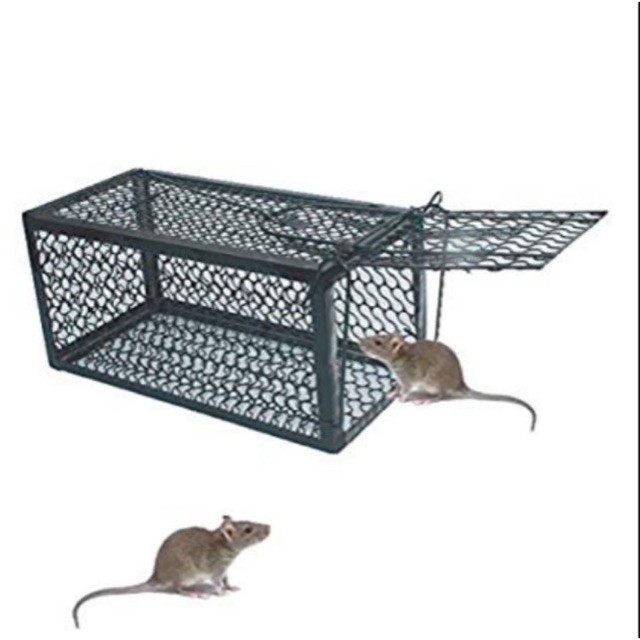 Rat Mouse Trap Cage/Perangkap Tikus / Sangkar Tikus | Shopee Malaysia
