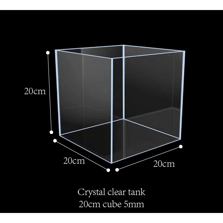 Crystal Clear Cube tank 20CM | Shopee Malaysia