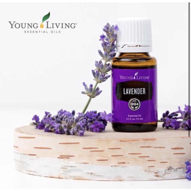 Lavender Essential Oil Young Living 15 Ml Shopee Malaysia
