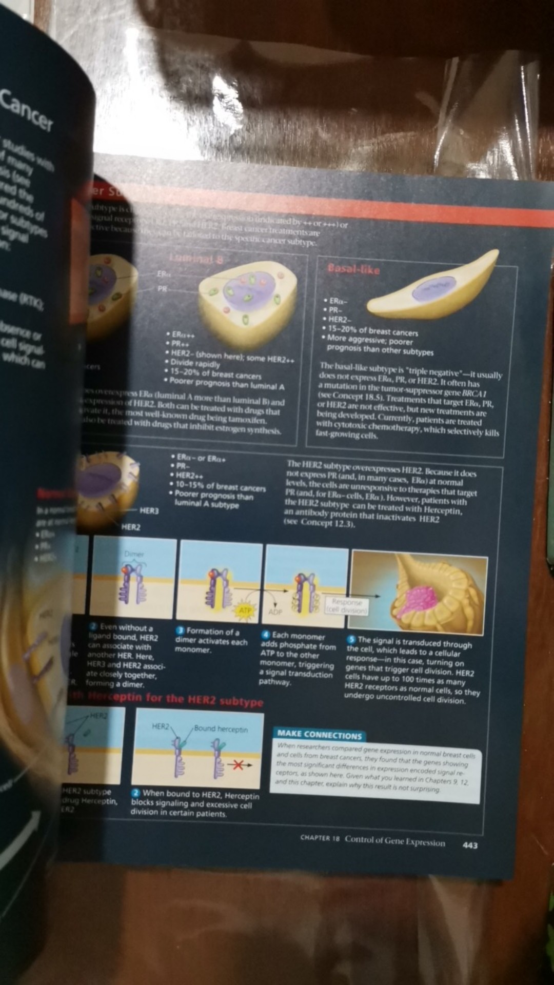 Campbell Biology 12th edition | Shopee Malaysia