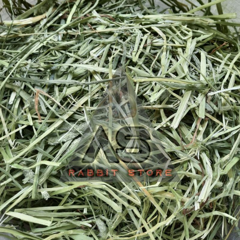 Timothy hay original repack 1kg | Shopee Malaysia