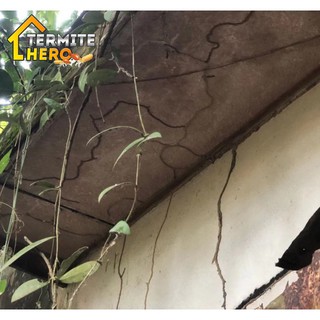 perkakas rumah Termite Baiting Station TERMITE HERO / Termite box / Sistem Umpan Anai-anai ...