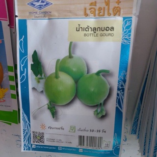 benih labu air bulat dari thailand | Shopee Malaysia