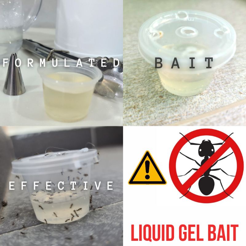 ANT KILLER BAIT/Easy Placement Ant Bait/Umpan Ubat Semut/蚂蚁药(EASY USE) | Shopee Malaysia