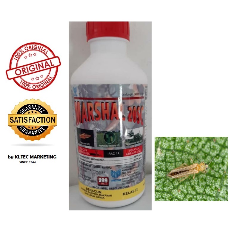 Marshal 20SC Ancom Racun Serangga Thrips 1L | Shopee Malaysia