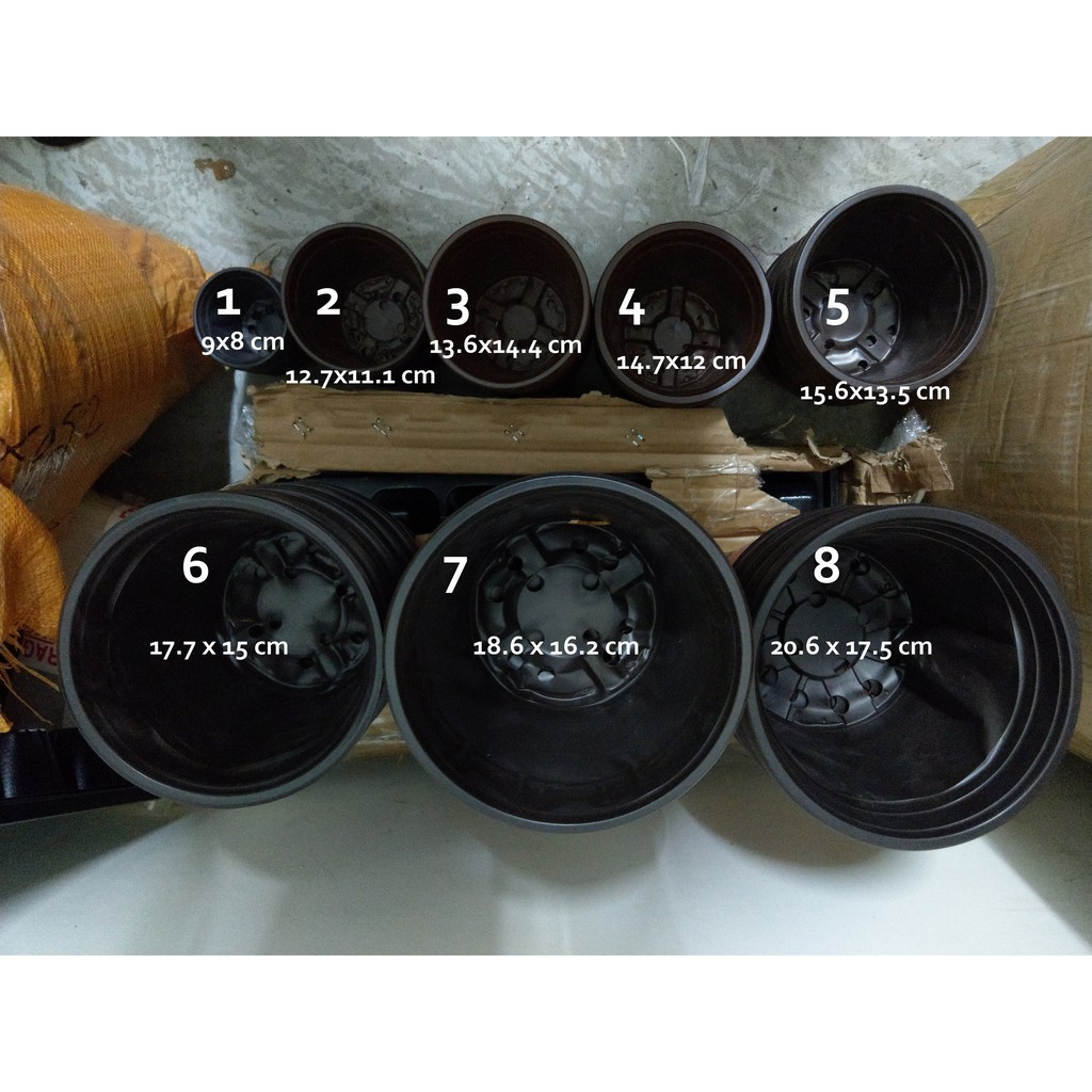 (Ready Stock) Pasu Kertas Ringan Pelbagai Saiz | Shopee Malaysia