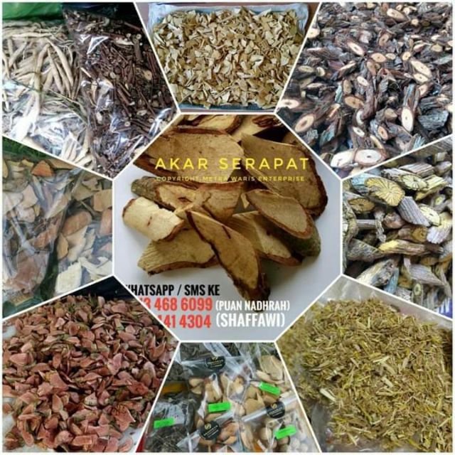 PEMBEKAL AKAR SERAPAT DAN HERBA, Online Shop | Shopee Malaysia