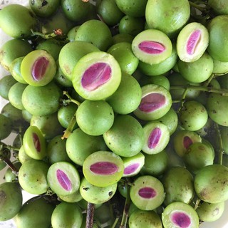 Buah Star Kampung Putik 1kg/Buah Star Mentah/Buah Gemia/Buah Remia/Buah ...