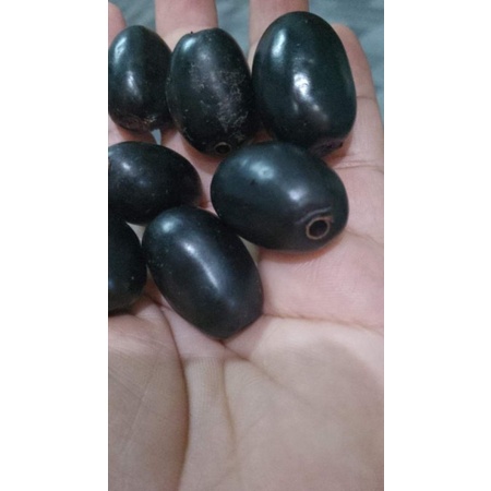 Kerian Dot Jambu Arang | Shopee Malaysia
