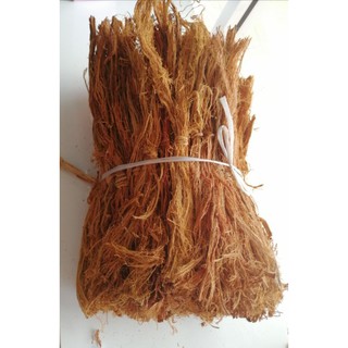 Akar Sintok Beluru Penyental Daki (1 Bundle/100 ikat) Borong Murah ...