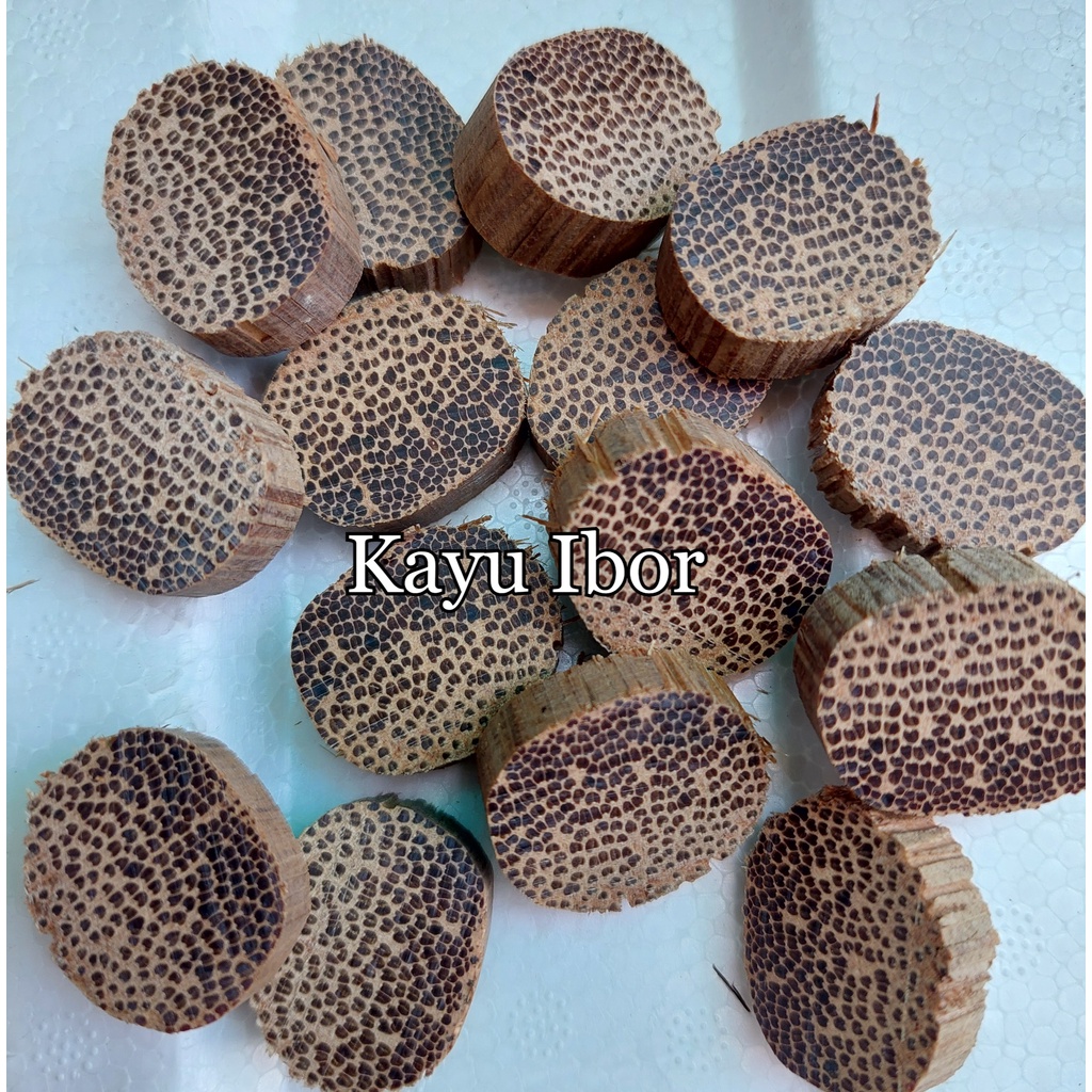 Kayu Ibor Merah/urat merah (asli) | Shopee Malaysia