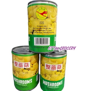[425G] CENDAWAN TIN /WHOLE MUSHROOMS TIN BRAND FEI YAN PAI , 飞雁牌 整蘑菇 ...