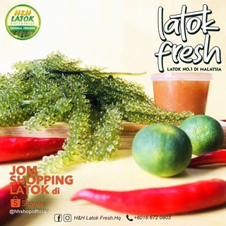 latok - Prices and Promotions - Dec 2020 | Shopee Malaysia