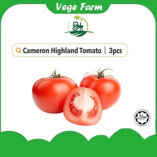 tomato - Prices and Promotions - Sept 2021 | Shopee Malaysia