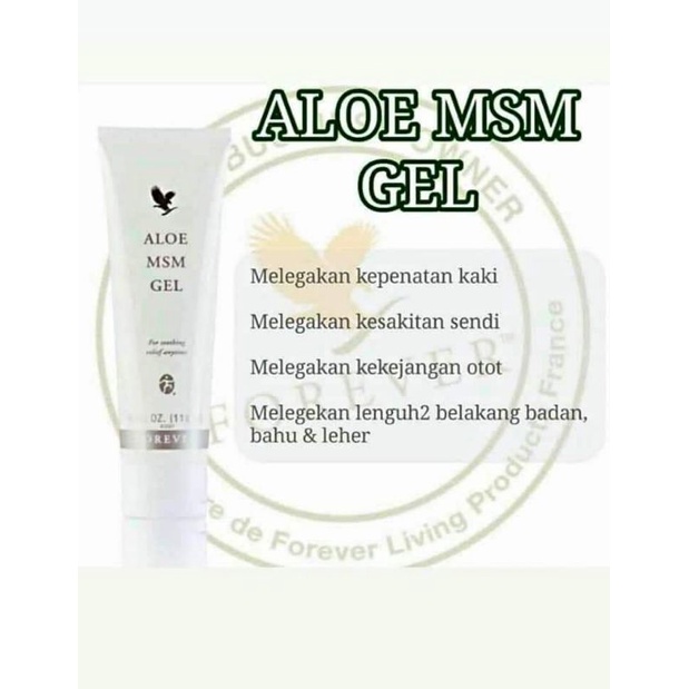 ALOE MSM GEL FOREVER LIVING (SAKIT2 SENDI) | Shopee Malaysia