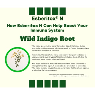 Esberitox Family Chewable Tablets 100's (Natural Immune System Booster ...