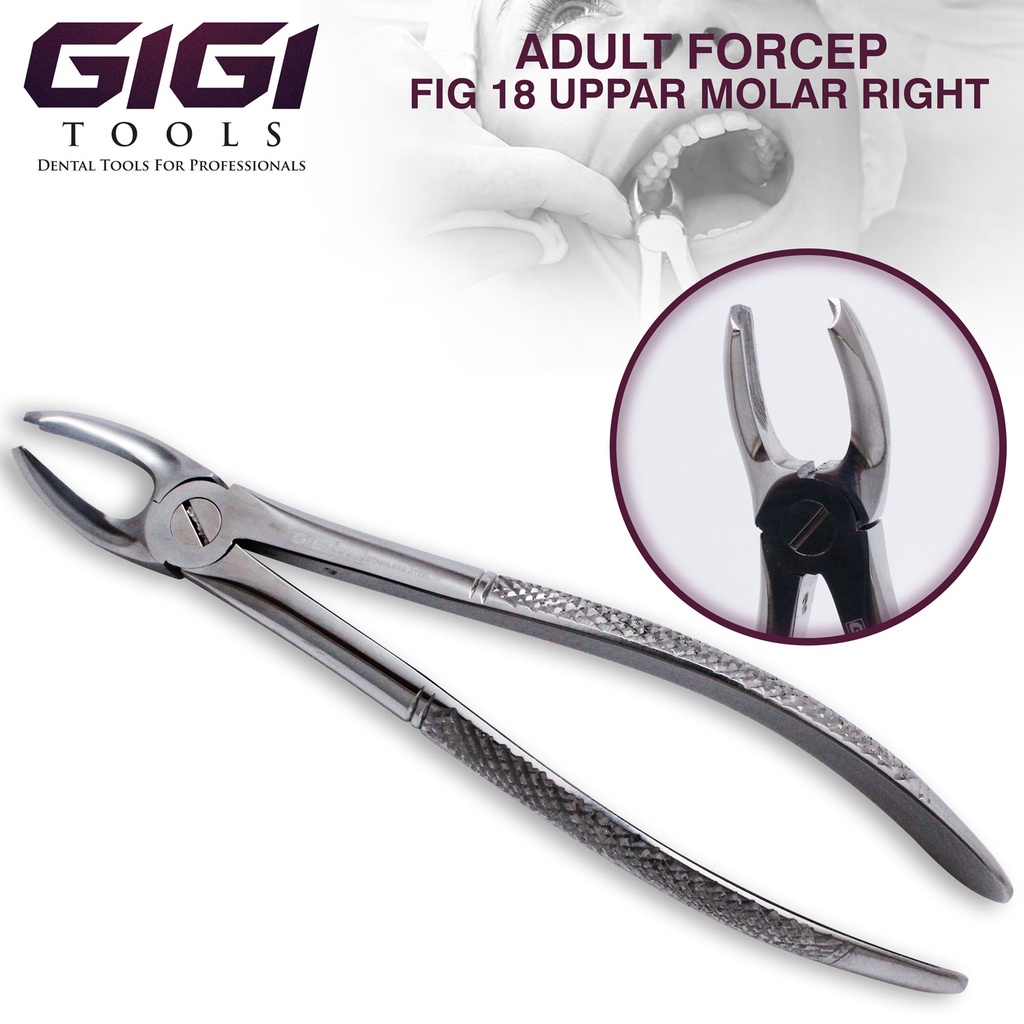 GIGI Tools Tooth Extracting Forceps FIG 18 Upper Molar Right Adult ...