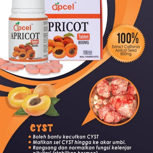 Apcel apricot vitamin & supplement terbaik 800mg | Shopee Malaysia
