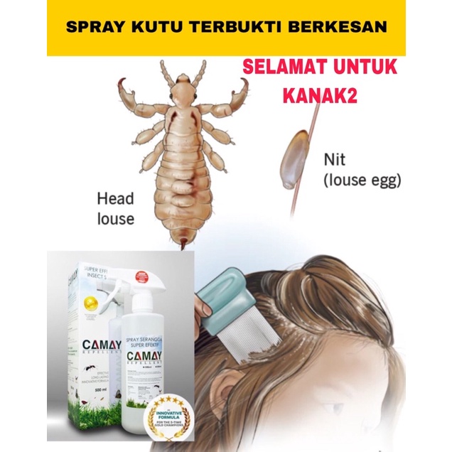 SPRAY KUTU KEPALA | HEAD LICE CAMAY REPELLENT SPRAY Bebas Racun ...