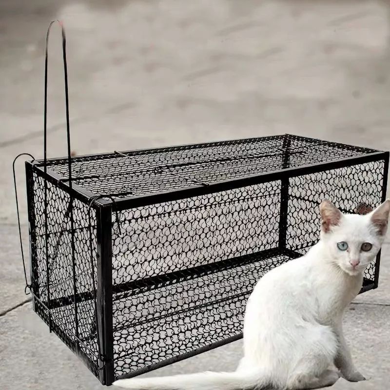 Perangkap kucing / Cat Trap / Sangkar Big Cage / Sangkar Besar | Shopee ...