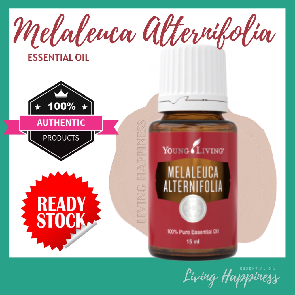 Melaleuca Alternifolia / Tea Tree Young Living Essential Oil | Shopee ...