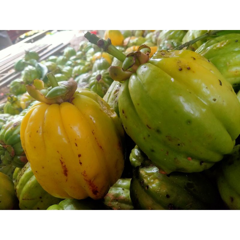BUAH ASAM GELUGUR 1KG | Shopee Malaysia