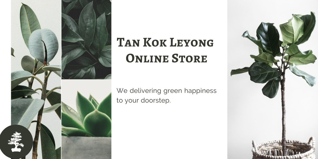 tankokleyongonlinestore, Online Shop | Shopee Malaysia