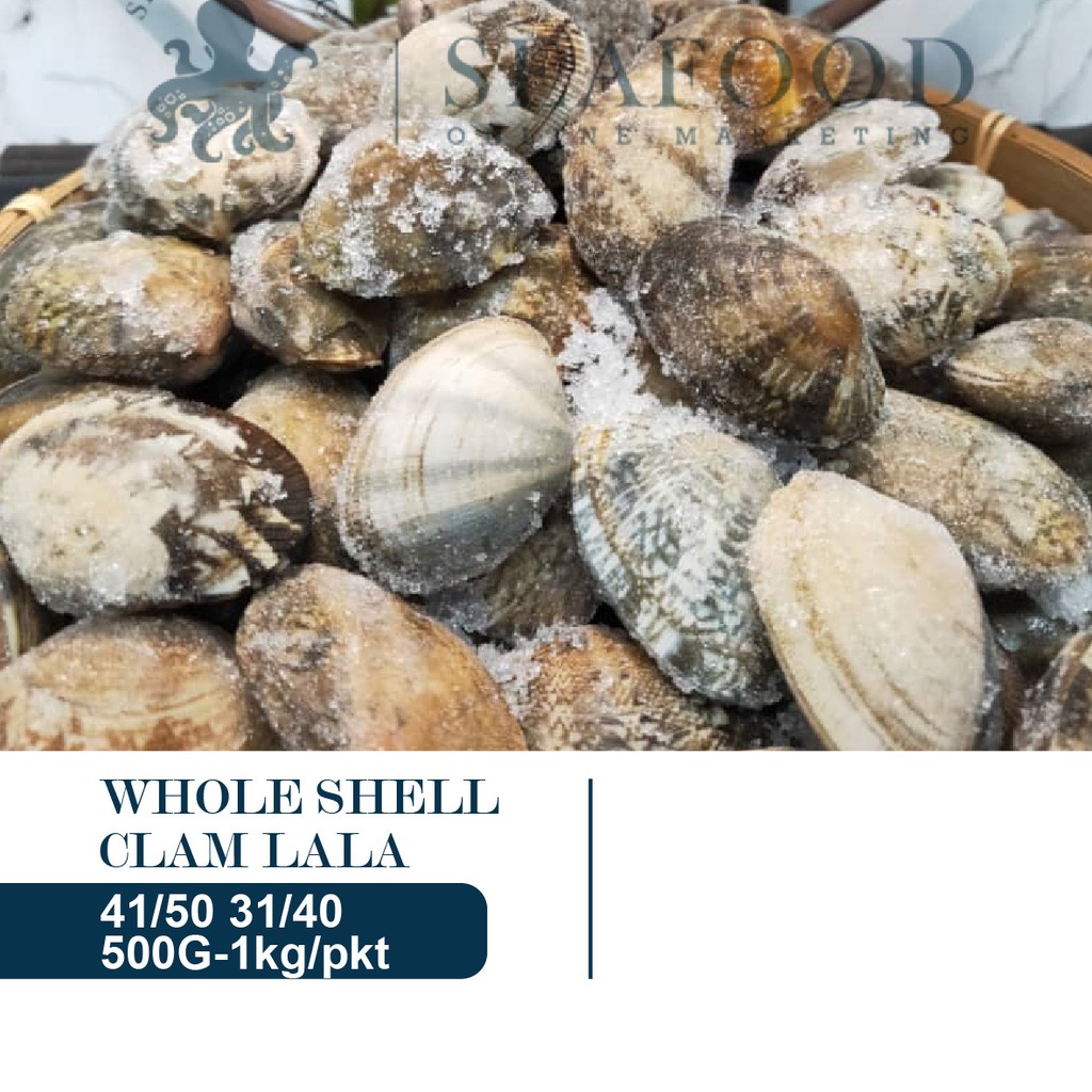 Whole Shell Clam Lala | 日本啦啦 | Shopee Malaysia