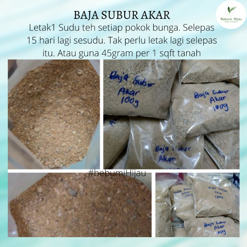 Baja SUBUR AKAR rock phosphate untuk pokok sayur/ pokok bunga ros dan ...