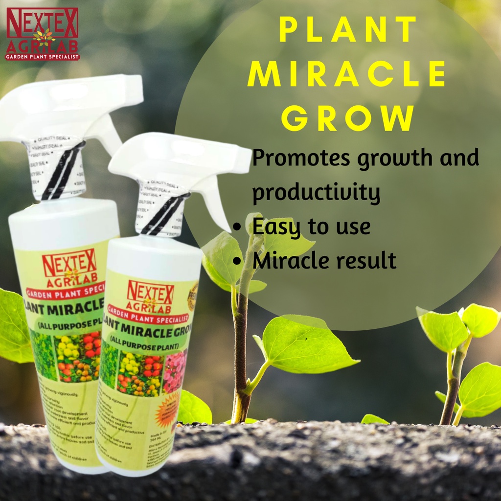 Plant Miracle Grow (All Purpose Plant) | Shopee Malaysia