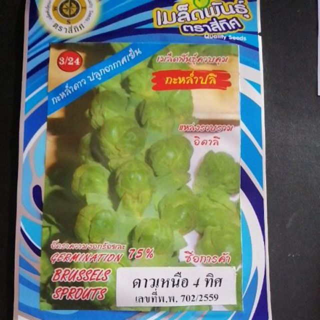 Benih baby kubis import dari thailand | Shopee Malaysia